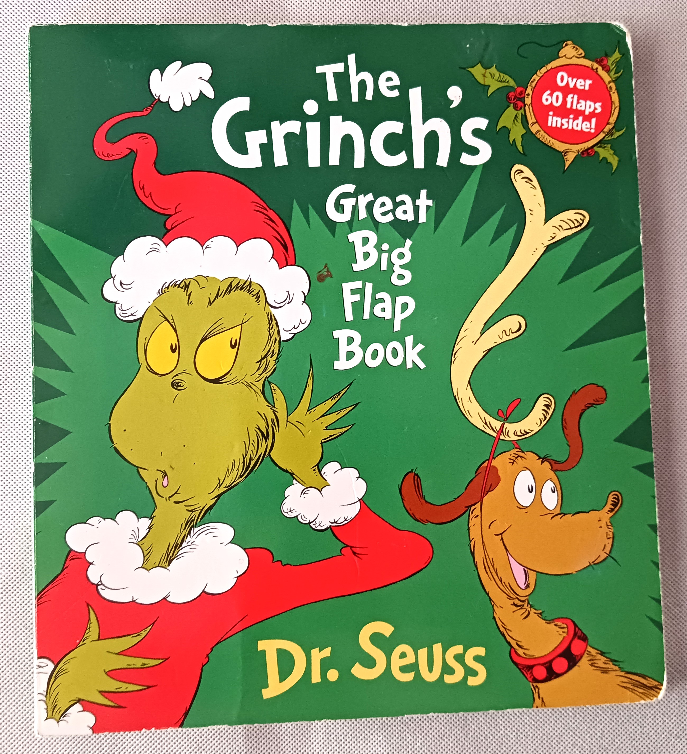 Whoville Grinch Book