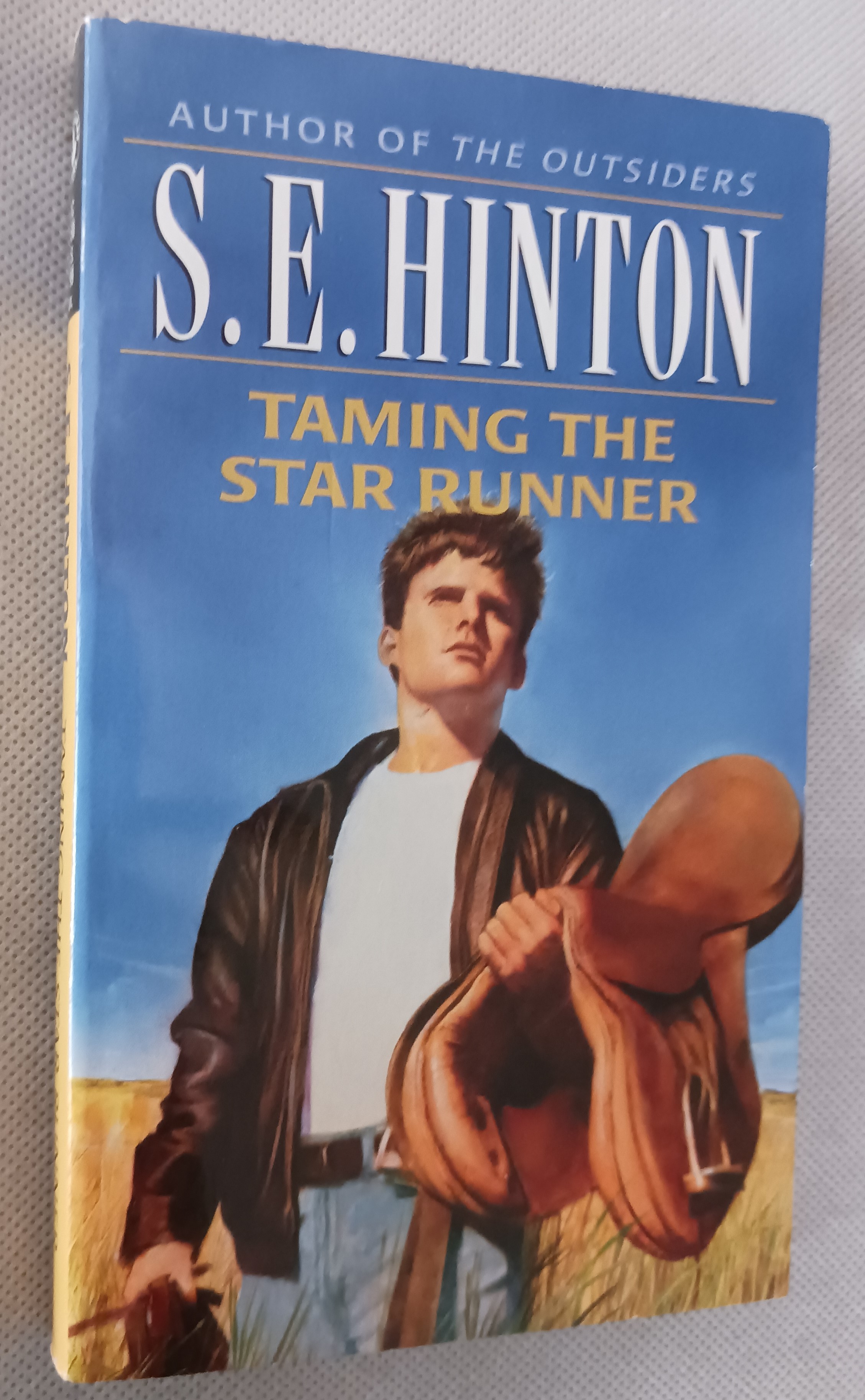 Taming The Star Runner