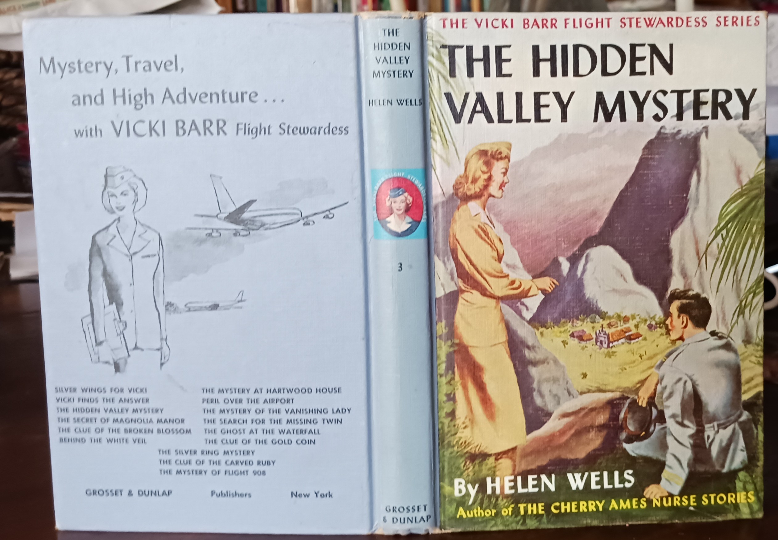 The Hidden Valley Mystery (Vicki Barr Flight Stewardess Series)